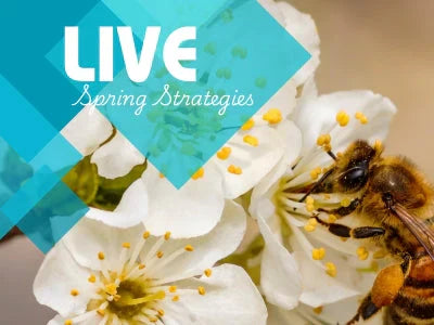 Spring Strategies for Thriving Bees with HiveAlive and Greg Burns